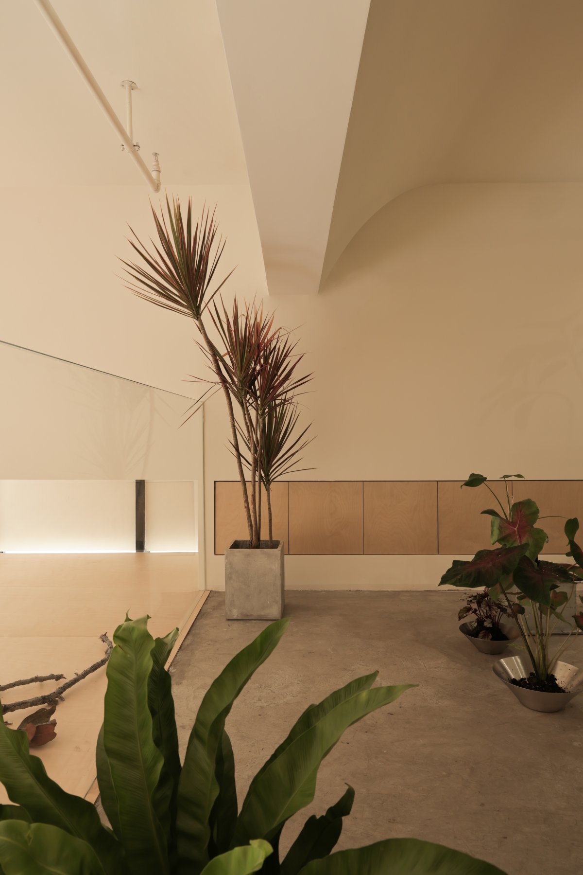 YinjiSpace - Shejin Space Design x Two Guys